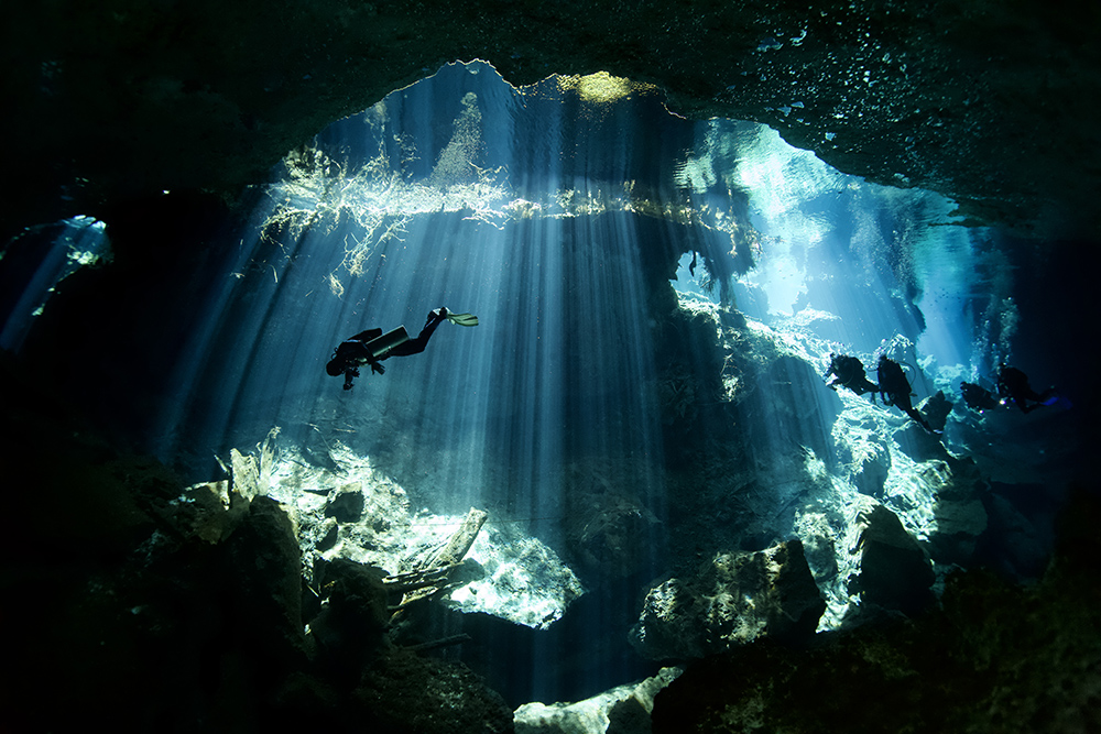 Riviera Maya Best Cenotes Scuba Diving In Playa Del Carmen Mexico